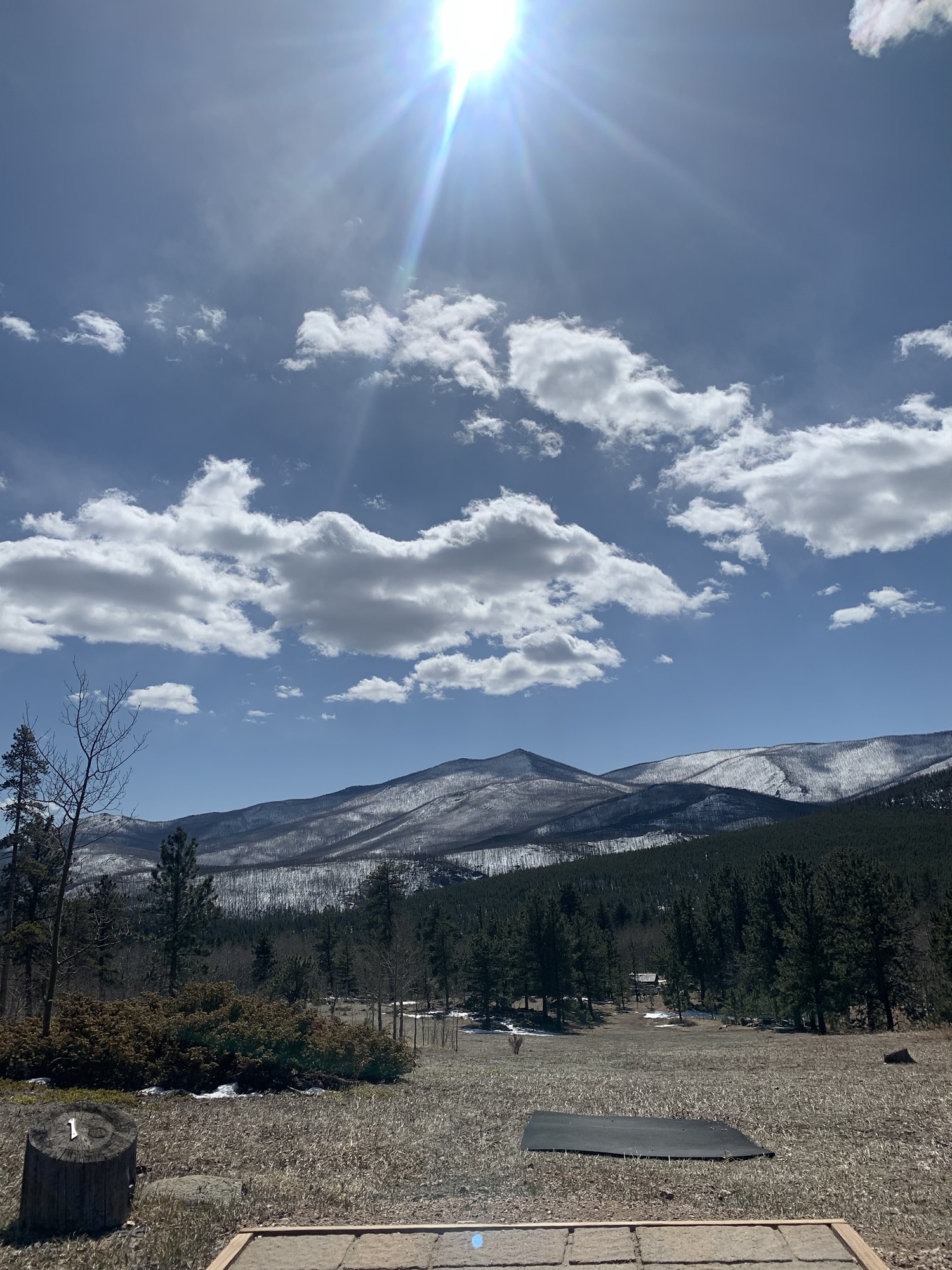 Opening Time! – Golden Eagle Disc Golf