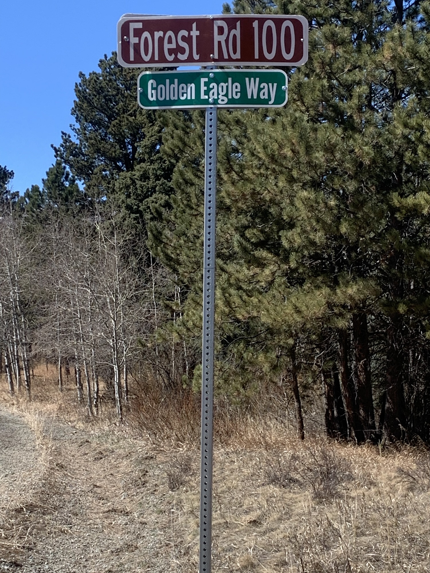 First Signs of Spring! – Golden Eagle Disc Golf